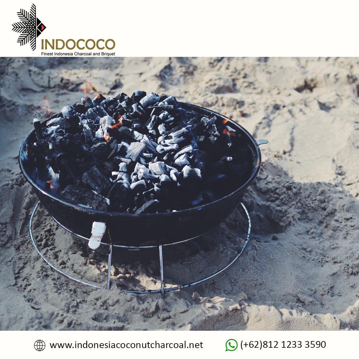 The Many Coconut Shell Charcoal Uses You Might Not Be Aware Of!